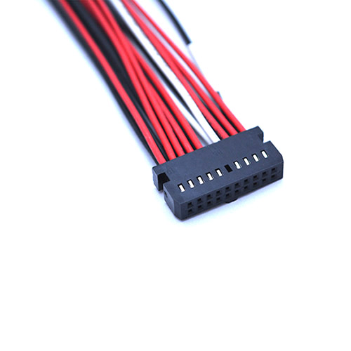 A2544-2*10P端子连接线-东莞市南谷第电子有限公司